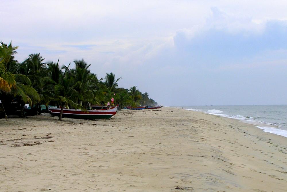 Things to do in Alappuzha - Updated March 2024 (with Photos & Reviews ...