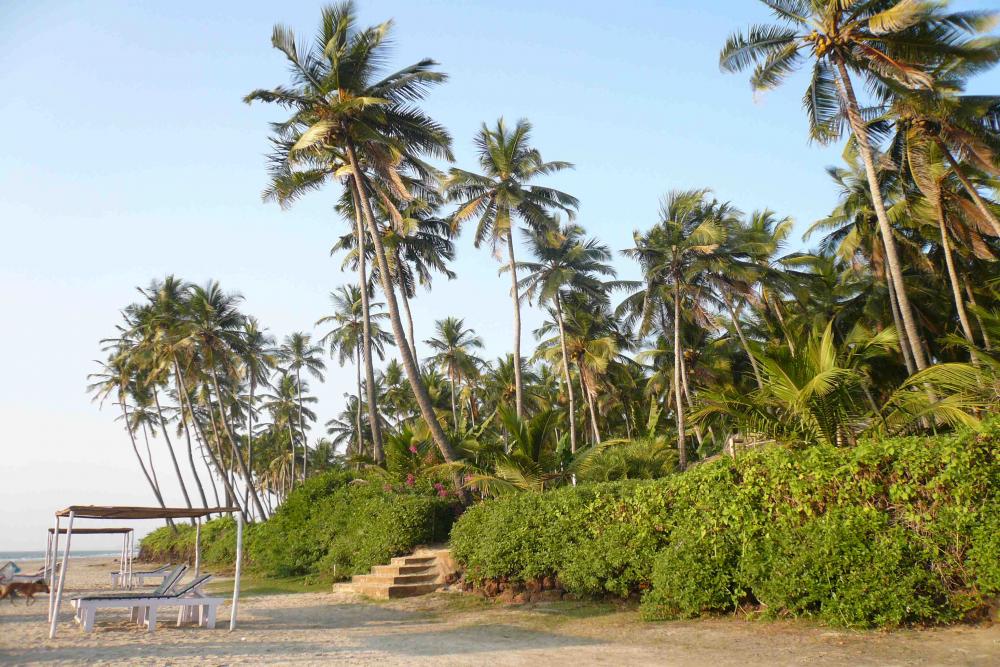 Ashvem Beach Goa Tickets, timings, offers Aug 2025 | ExploreBees