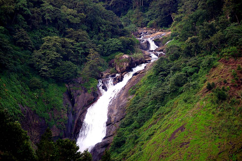 Tourist Places to visit near Attukal Waterfalls Dec 2025 | ExploreBees