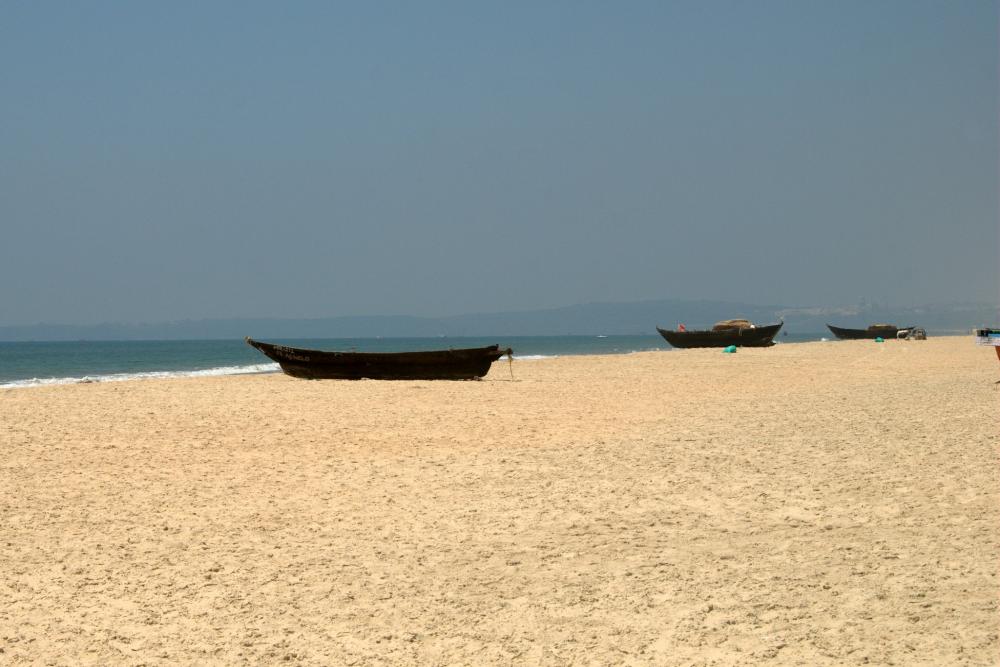 Book top rated Tours, Activities, Adventures, Homestays, Things to do ...