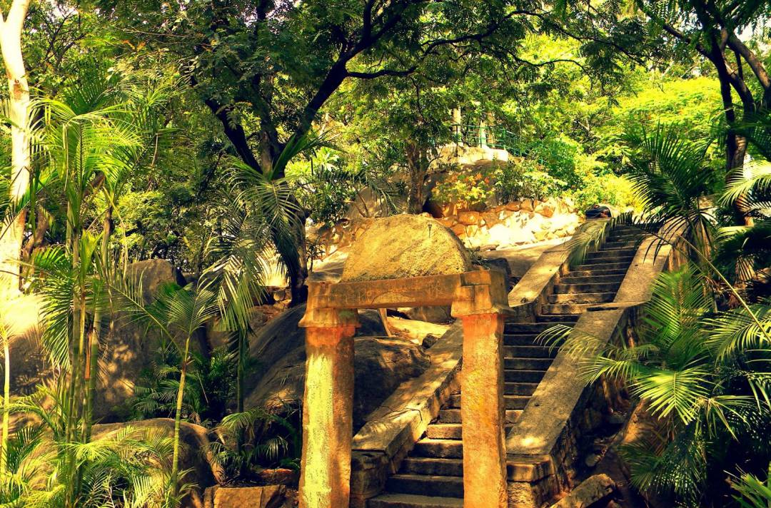 Bugle Rock Garden (January 2021) Timings,Tickets,reviews,Tips,Contact ...