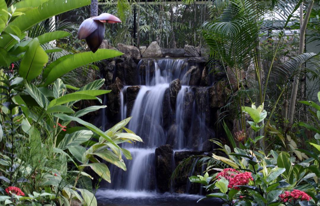 Butterfly park bannerghatta (August 2023) Timings,Tickets,reviews,Tips ...