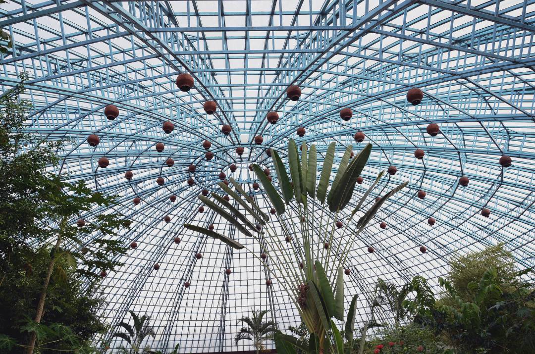 Butterfly park bannerghatta - Zoo and aquarium in Bengaluru Feb 2026 ...