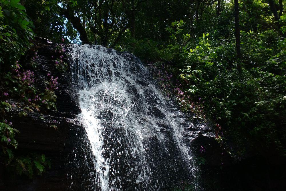 Chikkamagaluru tourism - places to visit in Chikkamagaluru August 2021 ...