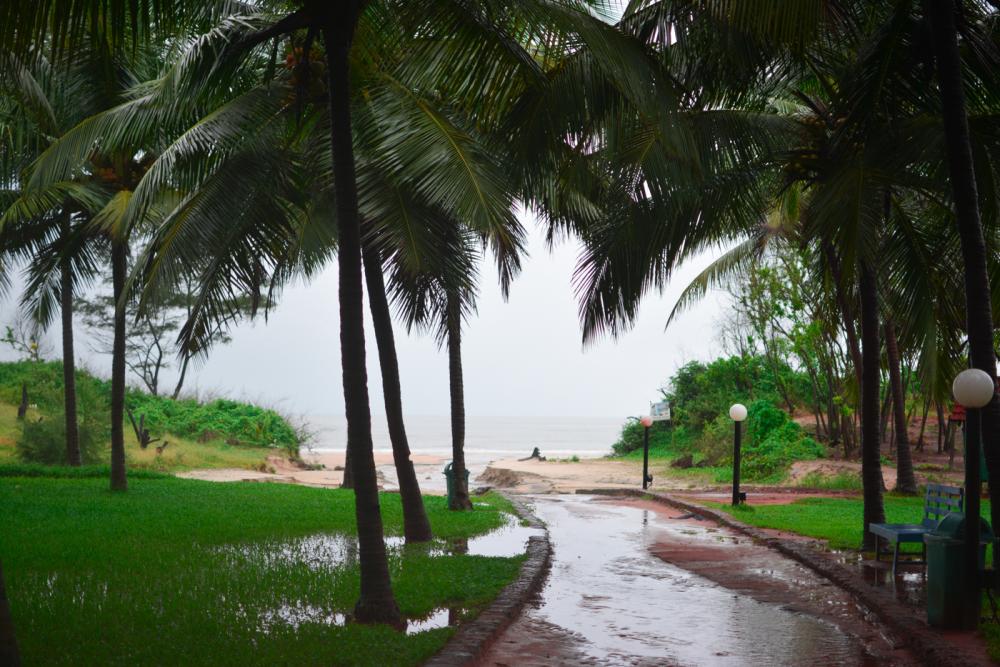 Cavelossim Beach (January 2021) Timings,Tickets,reviews,Tips,Contact ...