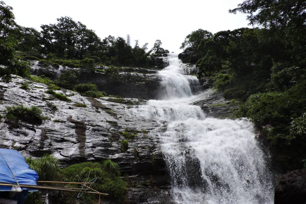 Cheeyappara Waterfalls Munnar Tickets, timings, offers Aug 2025 ...