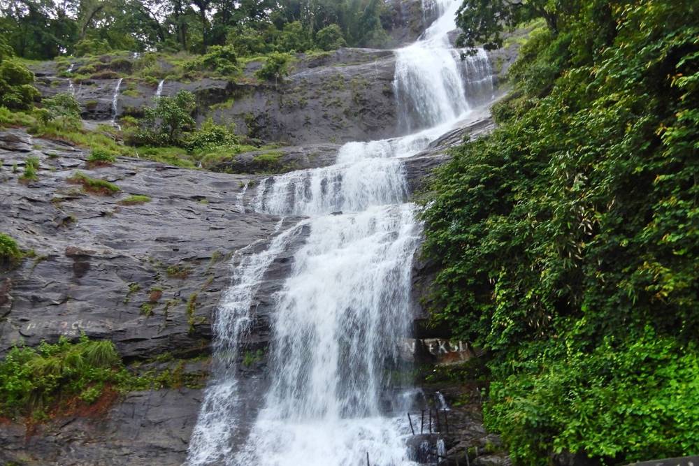 Things to do in Munnar - Updated January 2026 (with Photos & Reviews ...