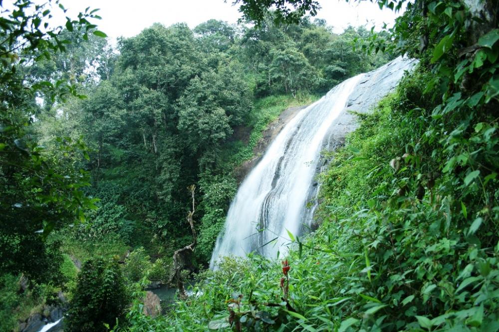 Book top rated Tours, Activities, Adventures, Homestays, Things to do ...