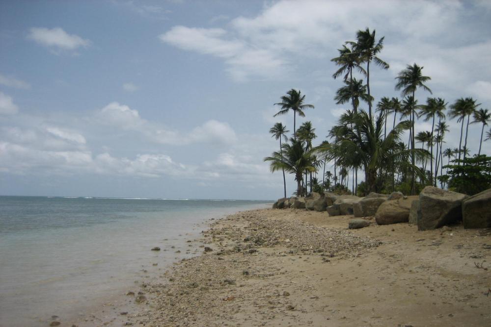 Coco Beach - Beaches and Island in Goa Mar 2025 | ExploreBees