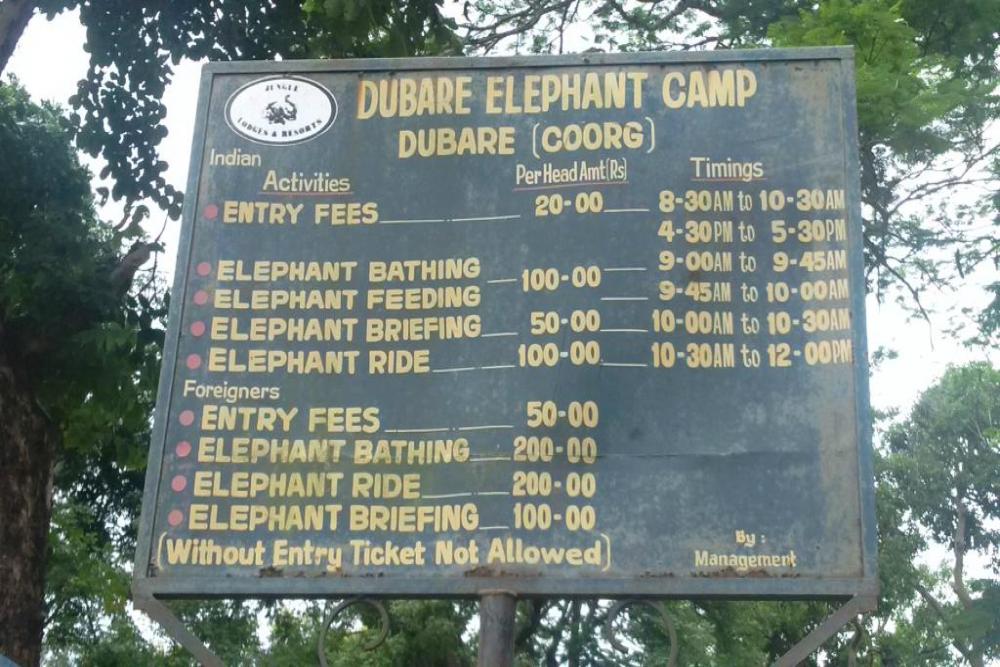 Dubare Elephant Camp (January 2026) Timings,Tickets,reviews,Tips ...