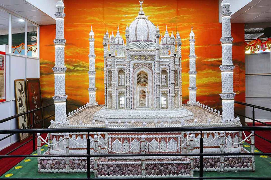 Guinness World Record Sea Shell Art Museum (October 2025) Timings ...