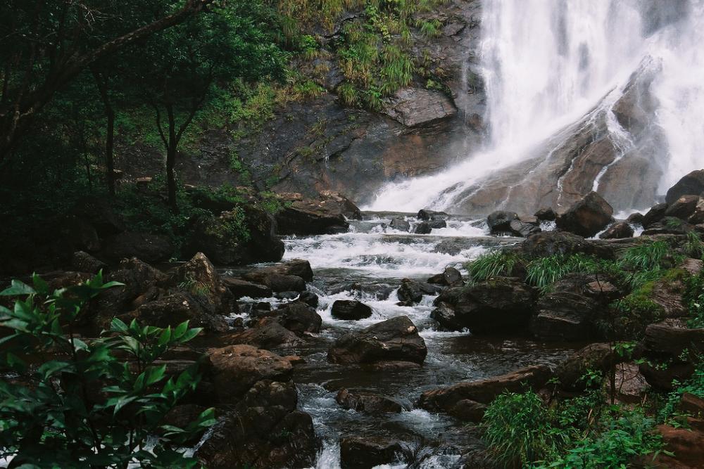 Hebbe Falls Chikkamagaluru Tickets, timings, offers Feb 2024 | ExploreBees