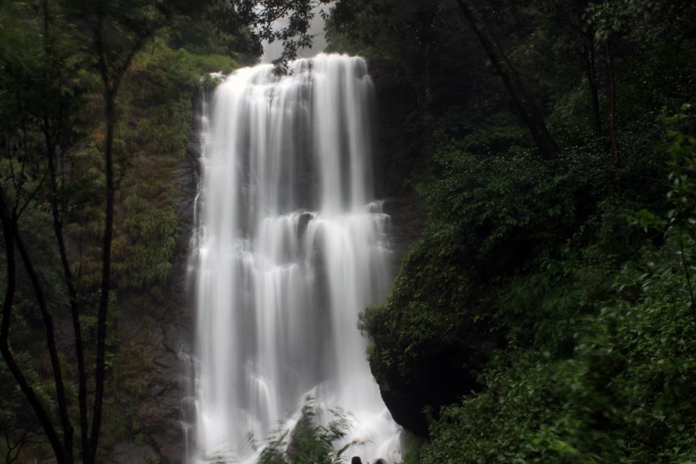 Hebbe Falls Chikkamagaluru Tickets, timings, offers Sep 2025 | ExploreBees