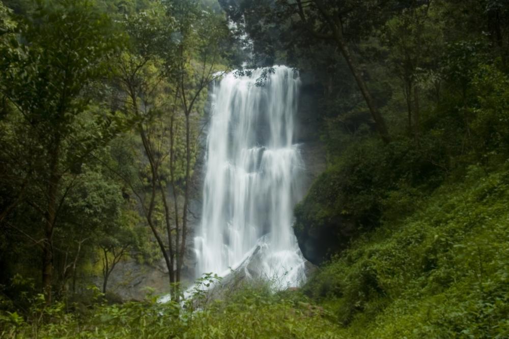 Hebbe Falls (February 2025) Timings,Tickets,reviews,Tips,Contact number ...