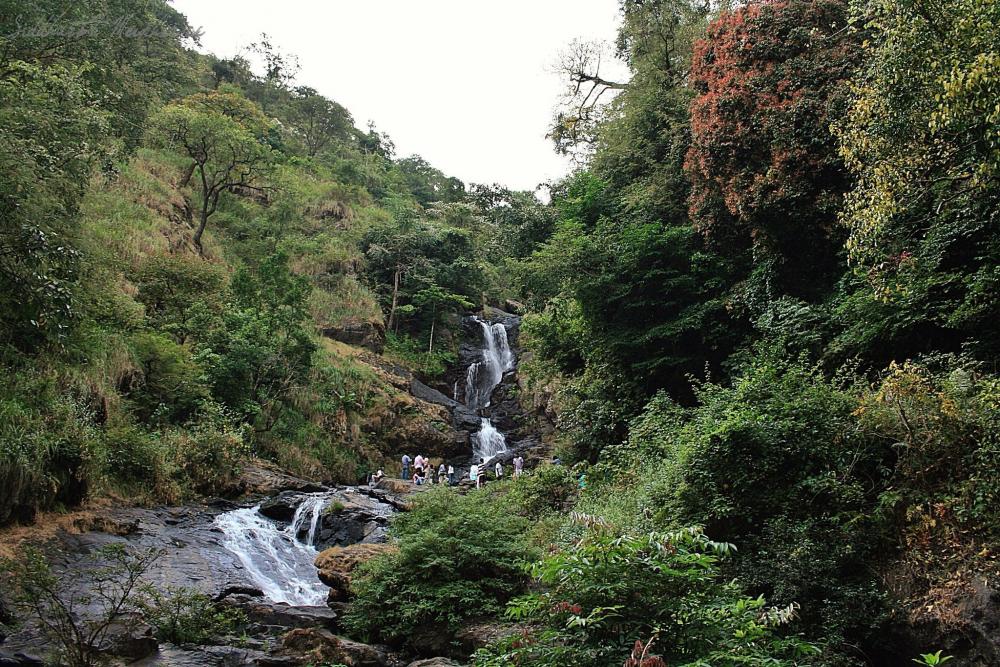 Iruppu Waterfall Madikeri Tickets, timings, offers May 2026 | ExploreBees
