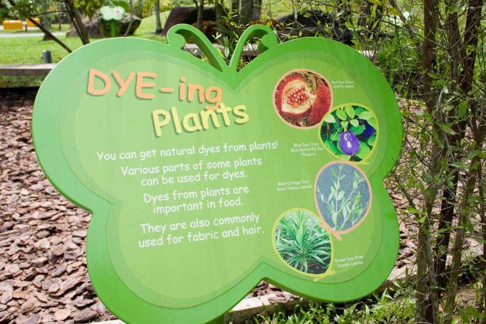 Jacob Ballas Childrens Garden Singapore Tickets, timings, offers Sep ...