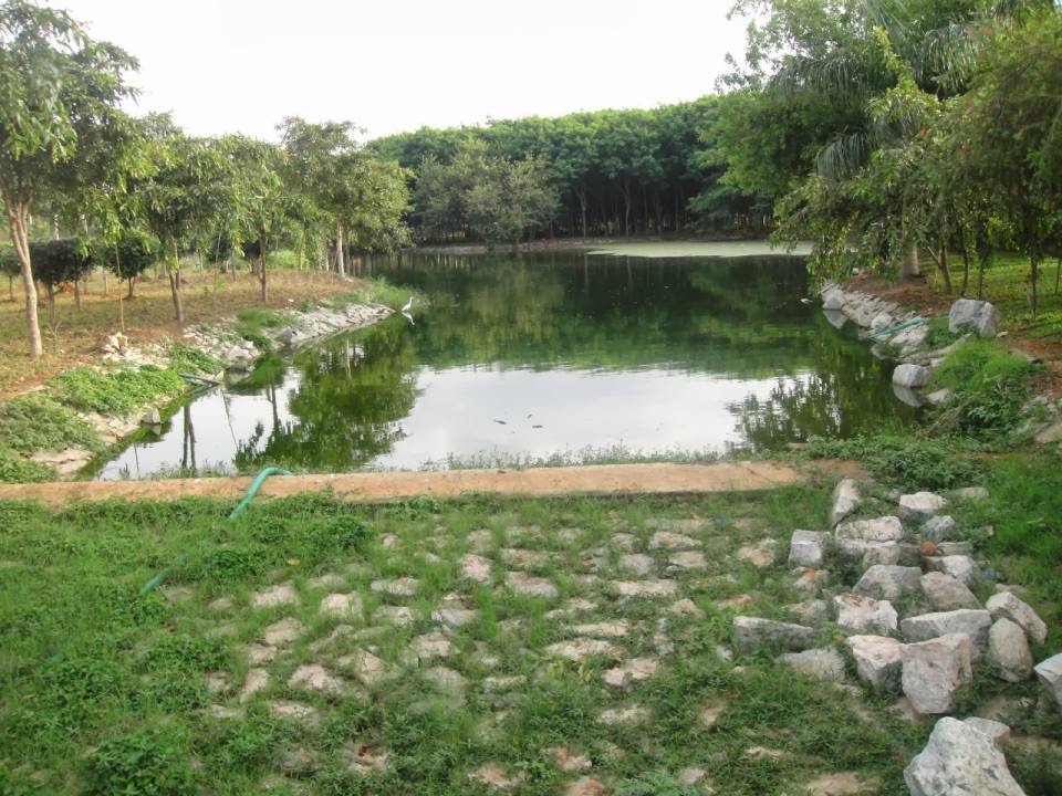 JP Park Mathikere Bengaluru Tickets, timings, offers Jan 2024 | ExploreBees