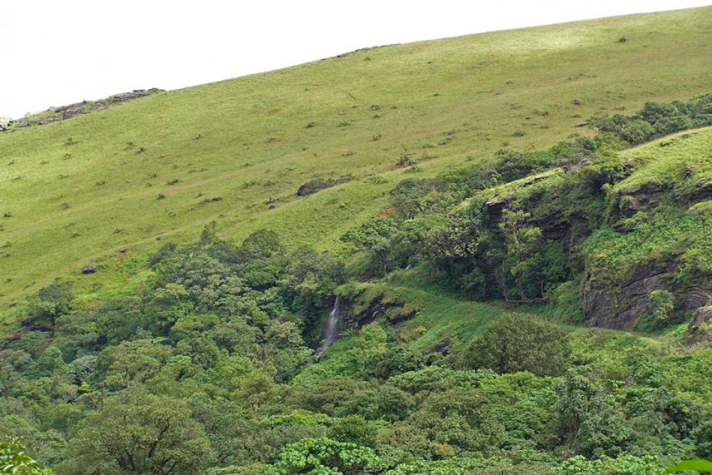 Kemmangundi (June 2021) Timings,Tickets,reviews,Tips,Contact number ...