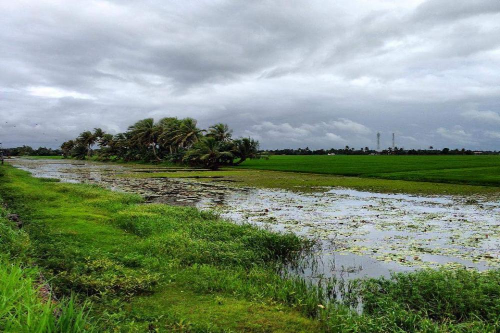 Kuttanad (February 2021) Timings,Tickets,reviews,Tips,Contact number ...