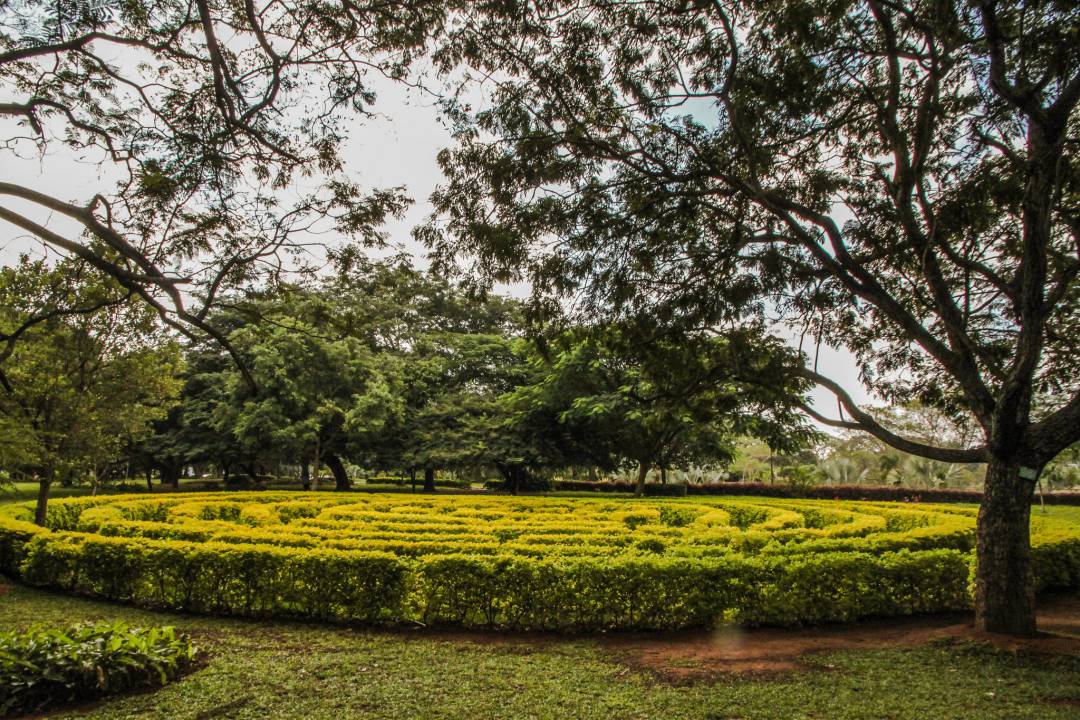 Lalbagh botanical garden (March 2026) Timings,Tickets,reviews,Tips ...