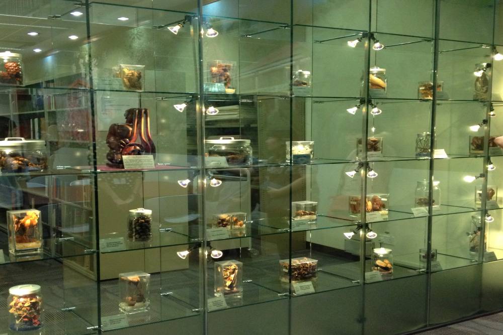 Library of Botany and Horticulture in SINGAPORE BOTANIC GARDENS ...