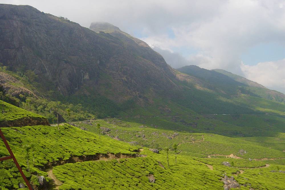 Lockhart Gap Road View Point (July 2025) Timings,Tickets,reviews,Tips ...