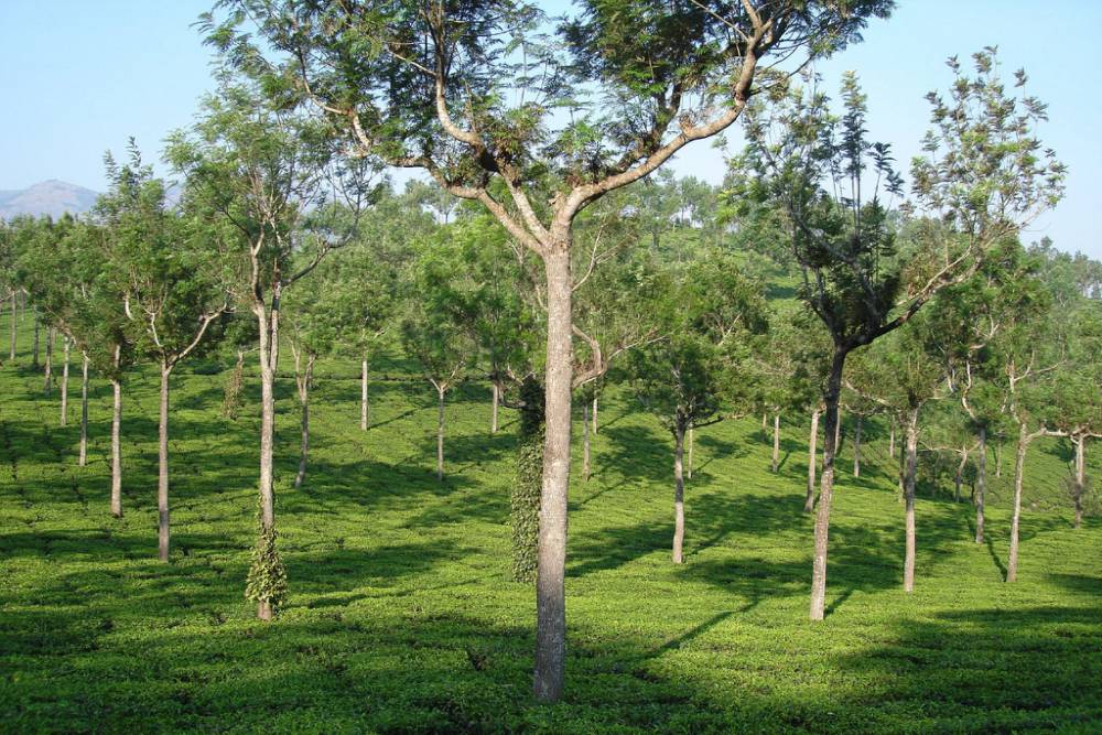 Lockhart Gap Road View Point (September 2023) Timings,Tickets,reviews ...