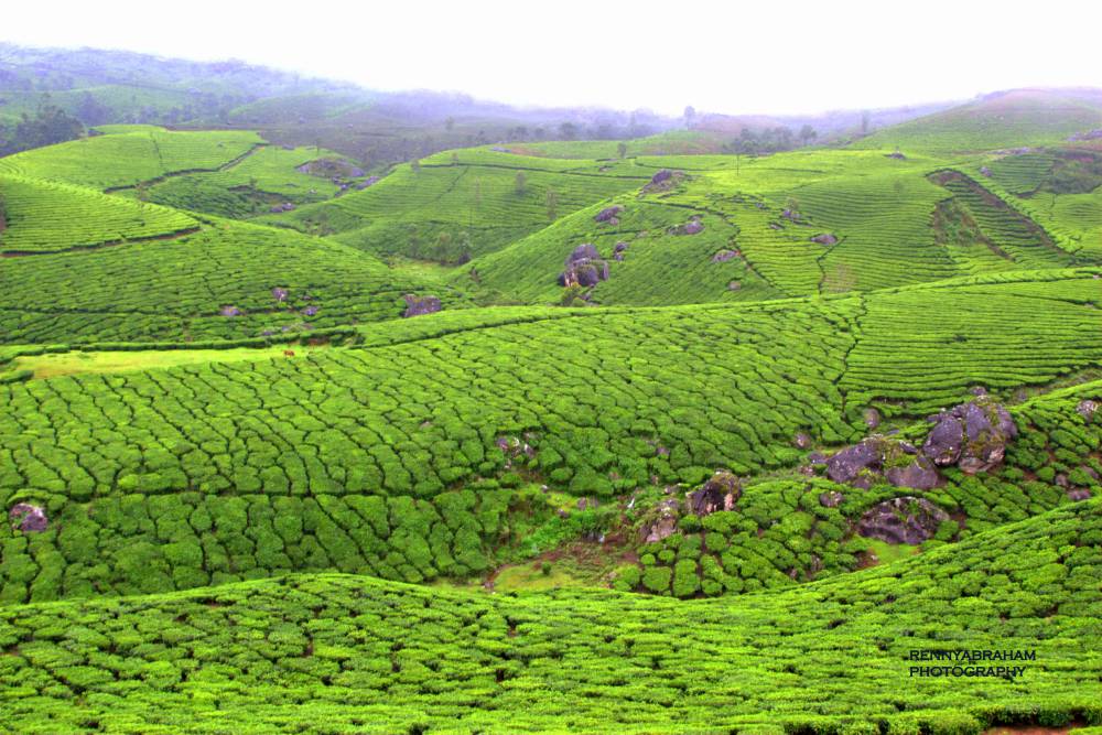Lockhart Gap Road View Point (August 2025) Timings,Tickets,reviews,Tips ...