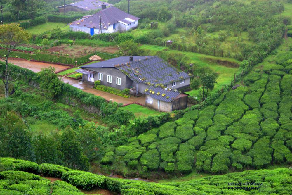 Lockhart Gap Road View Point Munnar Tickets, timings, offers May 2024 ...