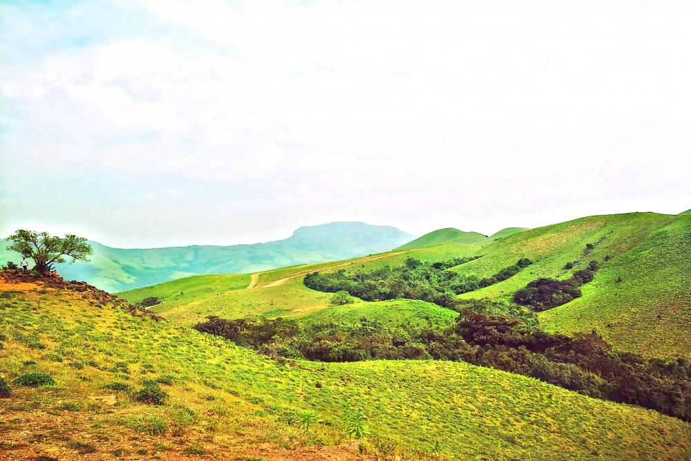 Mandalpatti Madikeri Tickets, timings, offers Aug 2025 | ExploreBees