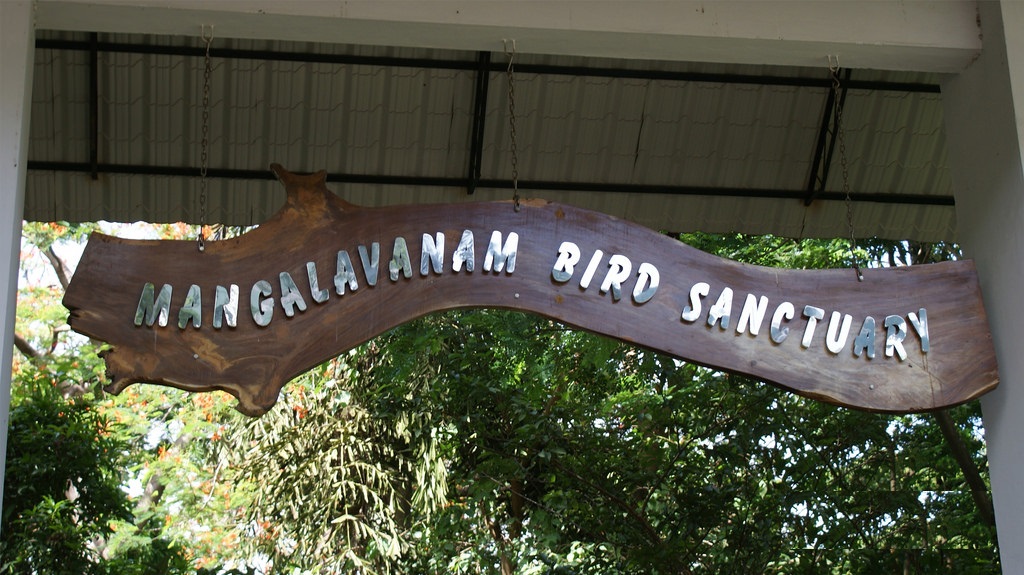 Mangalavanam Bird Sanctuary (July 2025) Timings,Tickets,reviews,Tips ...