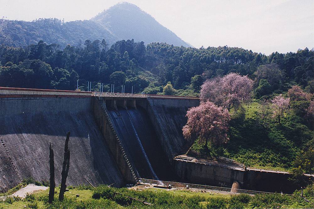 Mattupetty Dam Munnar Tickets, timings, offers Dec 2025 | ExploreBees
