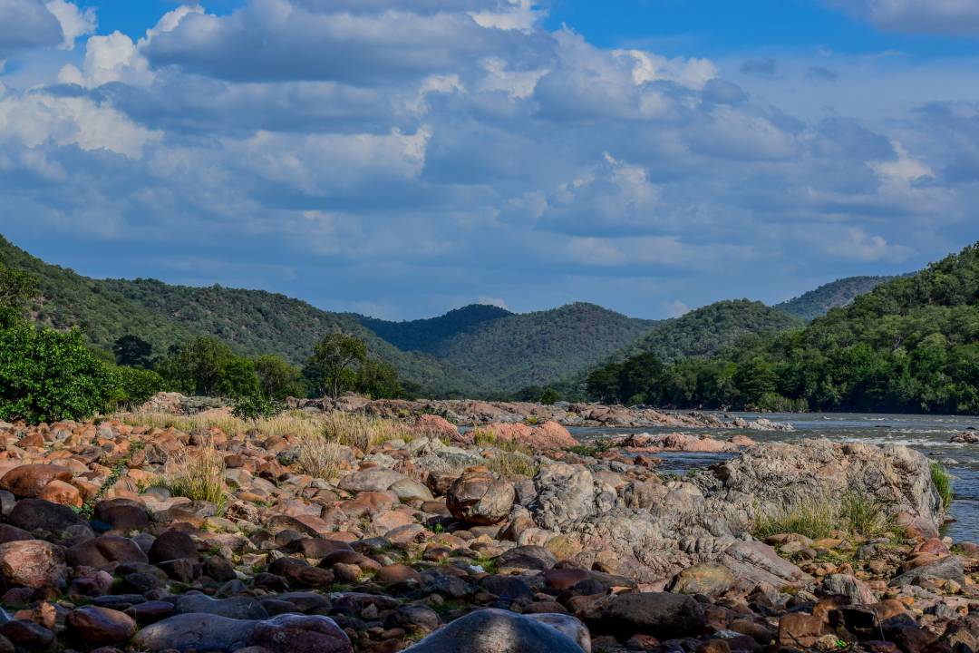 Mekedatu (February 2023) Timings,Tickets,reviews,Tips,Contact number ...