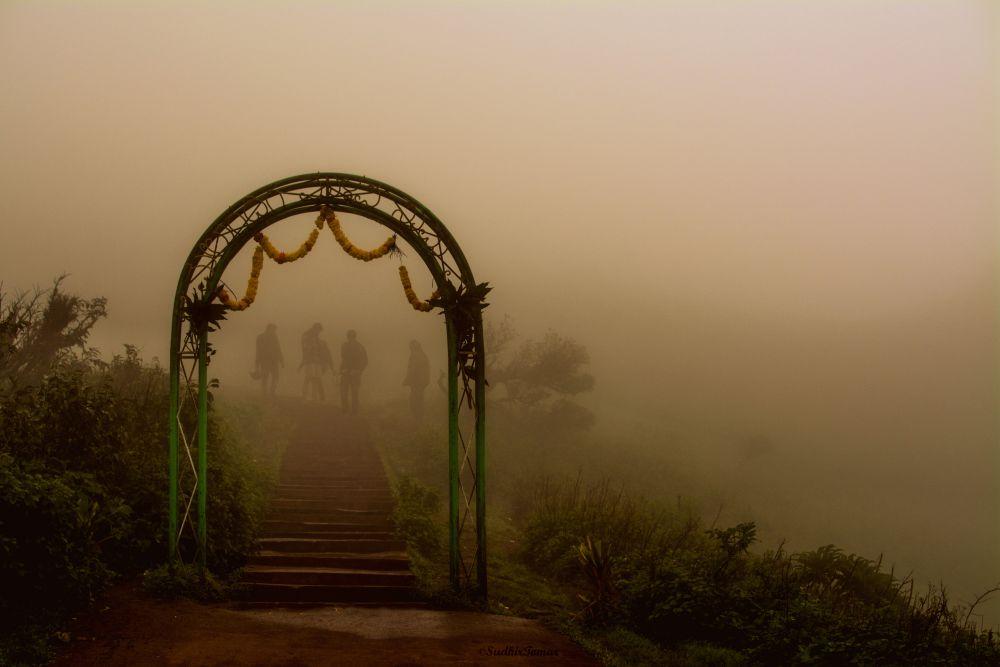 Mullayanagiri (November 2024) Timings,Tickets,reviews,Tips,Contact ...