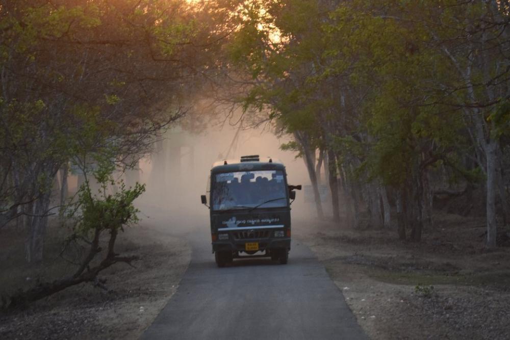 Nagarhole National Park And Tiger Reserve or Rajiv Gandhi National Park ...