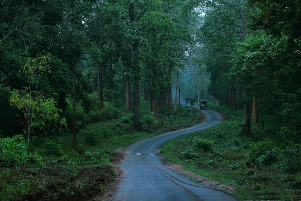 Nagarhole National Park And Tiger Reserve or Rajiv Gandhi National Park ...