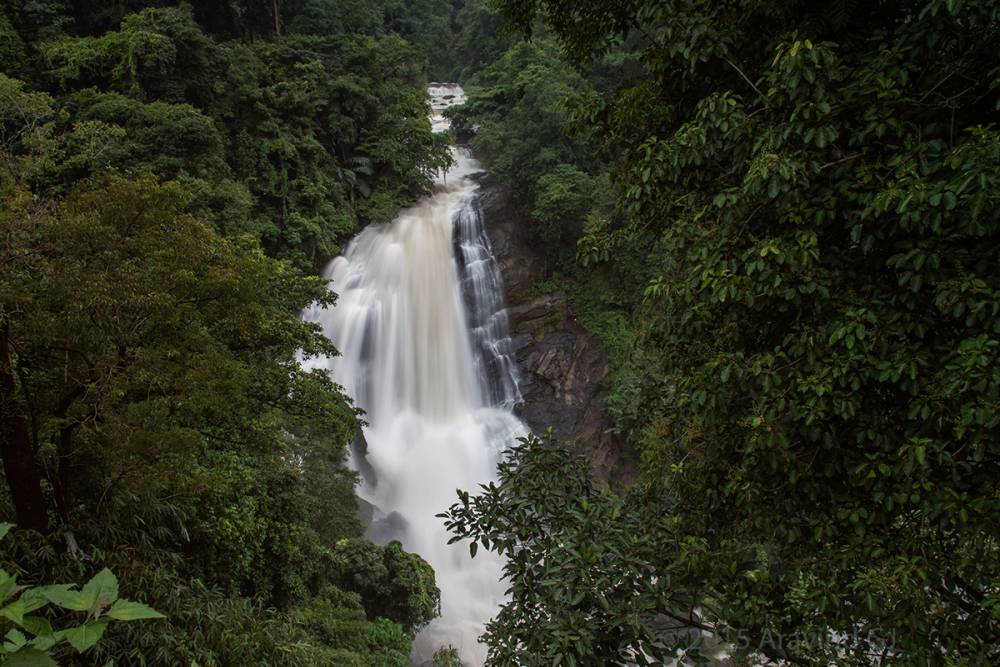 Book top rated Tours, Activities, Adventures, Homestays, Things to do ...