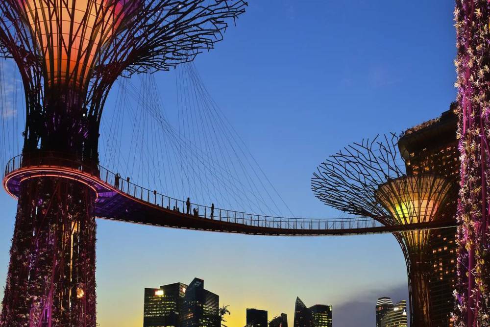 OCBC Skyway in Gardens by the Bay (February 2024) Timings,Tickets ...