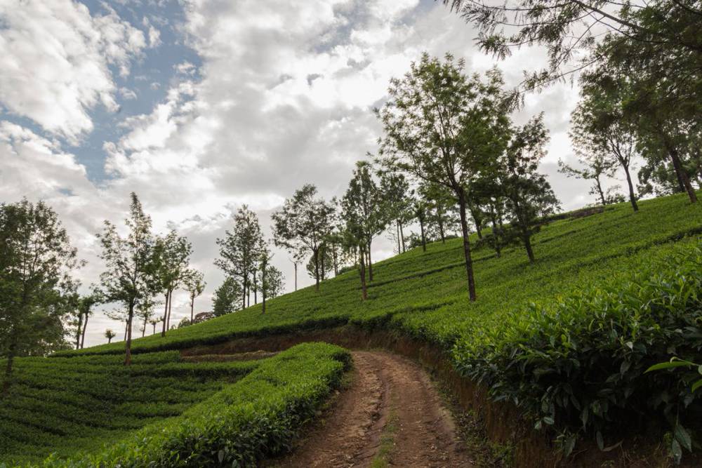 Pallivasal (November 2024) Timings,Tickets,reviews,Tips,Contact number ...