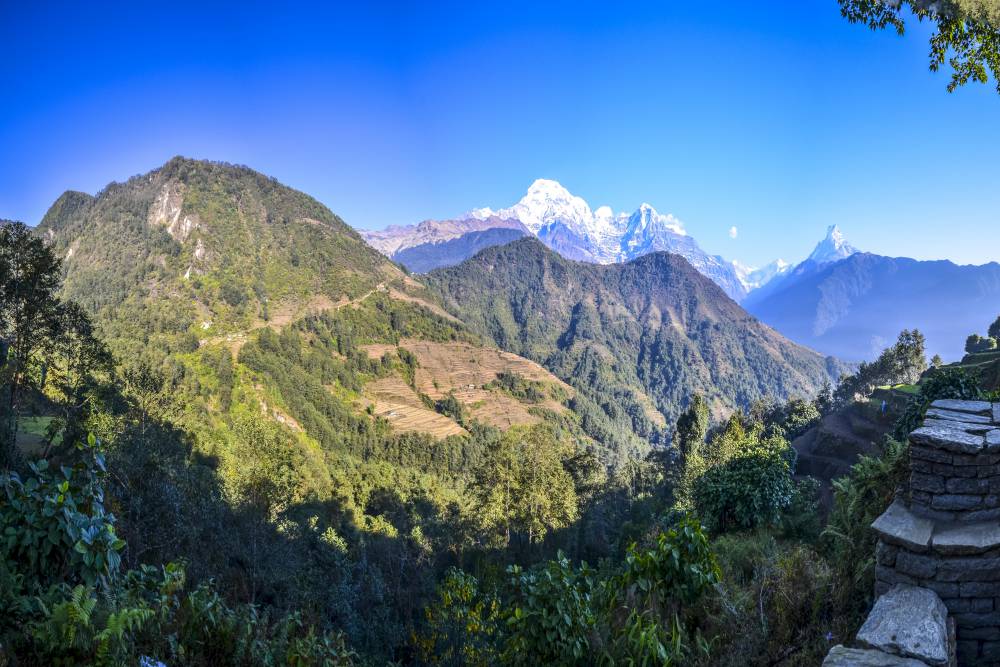 Pallivasal (October 2024) Timings,Tickets,reviews,Tips,Contact number ...