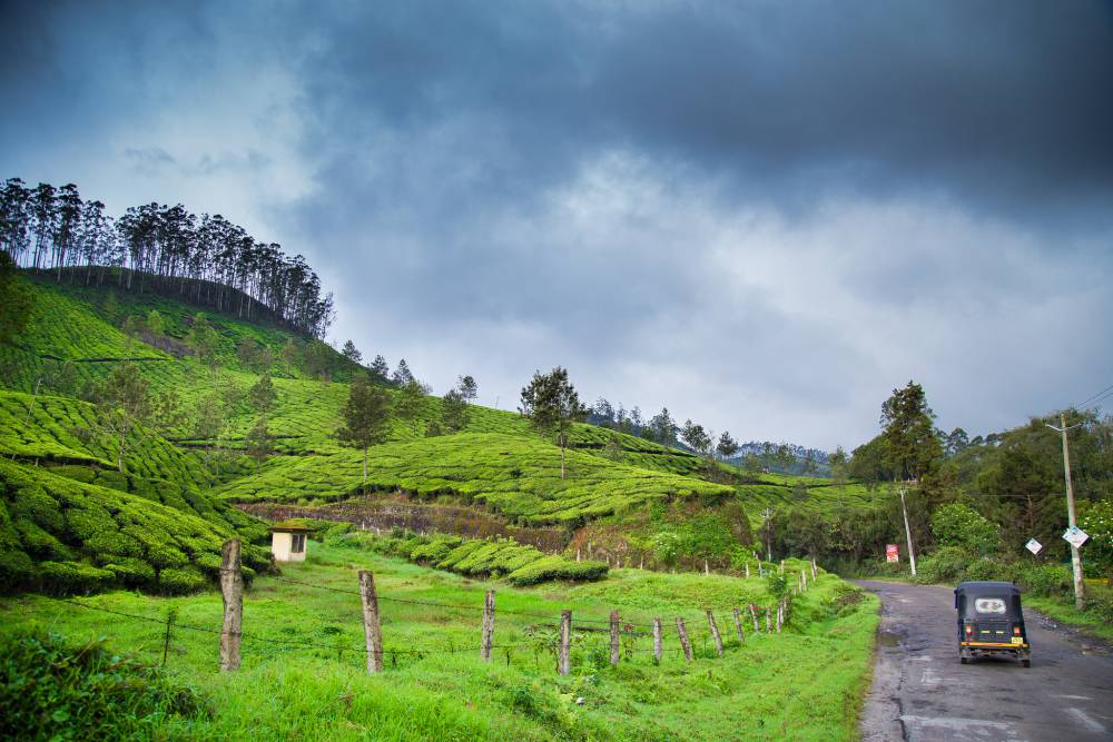 Pallivasal (December 2024) Timings,Tickets,reviews,Tips,Contact number ...