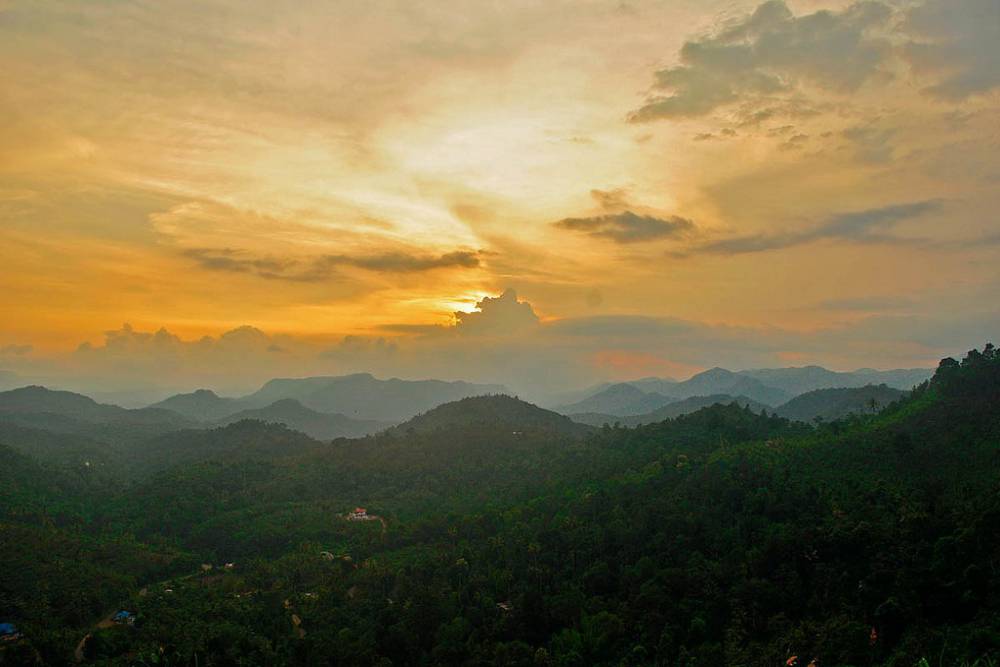 Photo Point Munnar Tickets, timings, offers May 2025 | ExploreBees