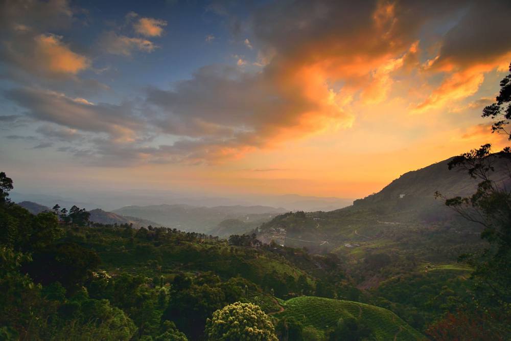 Pothamedu View Point Munnar Tickets, timings, offers Jul 2023 | ExploreBees