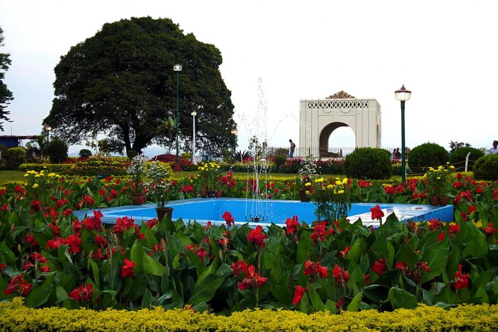 Book top rated Tours, Activities, Adventures, Homestays, Things to do ...