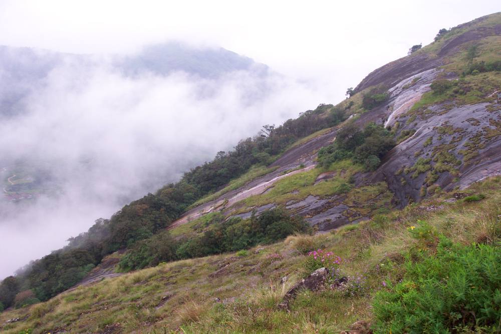 Rajmala Hills Munnar Tickets, timings, offers Aug 2024 | ExploreBees