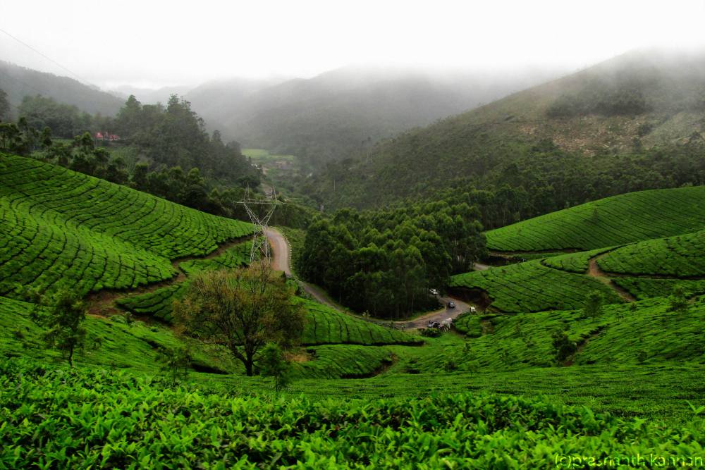 Rajmala Hills Munnar Tickets, timings, offers May 2023 | ExploreBees