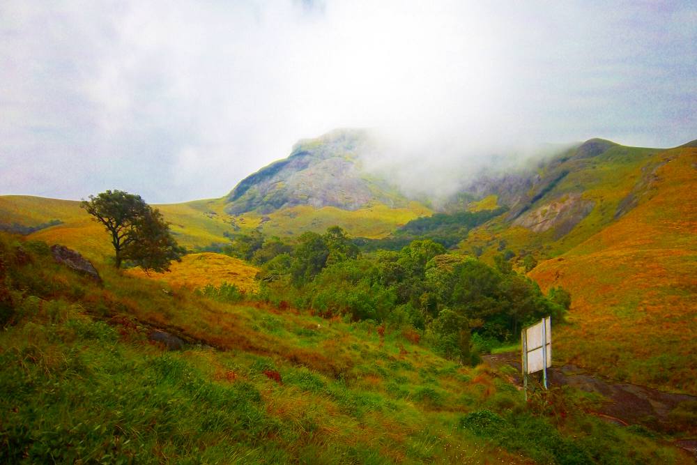 Rajmala Hills (August 2021) Timings,Tickets,reviews,Tips,Contact number ...