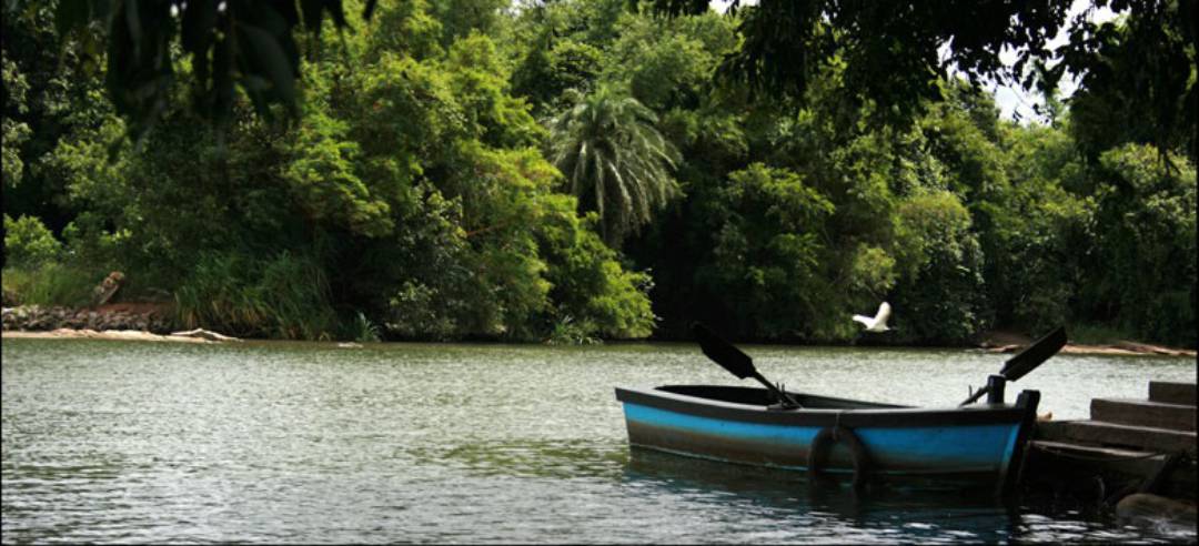 Ranganathittu Bird Sanctuary (March 2025) Timings,Tickets,reviews,Tips ...