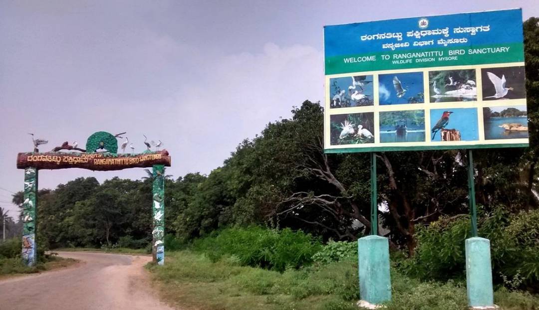 Ranganathittu Bird Sanctuary (October 2025) Timings,Tickets,reviews ...