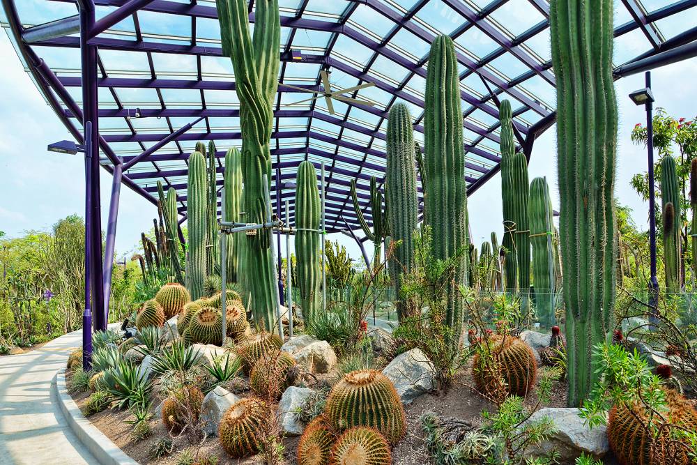 SUN PAVILION in Gardens by the Bay (April 2024) Timings,Tickets,reviews ...